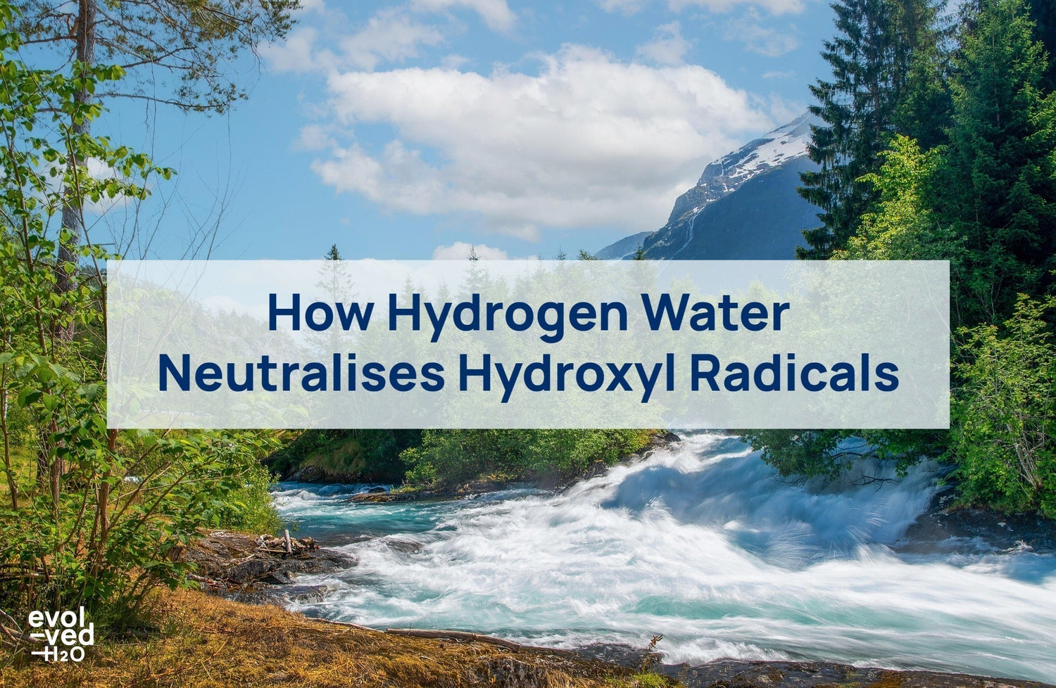 How Hydrogen Water Neutralises Hydroxyl Radicals – Evolved H2O